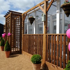 Gallery - Longcroft Luxury Cat Hotel