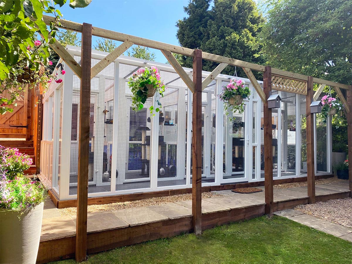 Longcroft Luxury Cat Hotel St Albans - Longcroft Luxury Cat Hotel