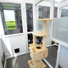 Suites - Longcroft Luxury Cat Hotel
