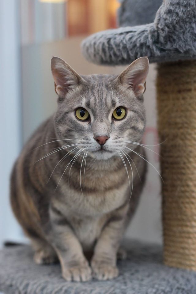 Longcroft goes farm life