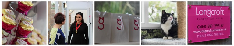 Longcroft Luxury Cat Hotel Luton grand opening!