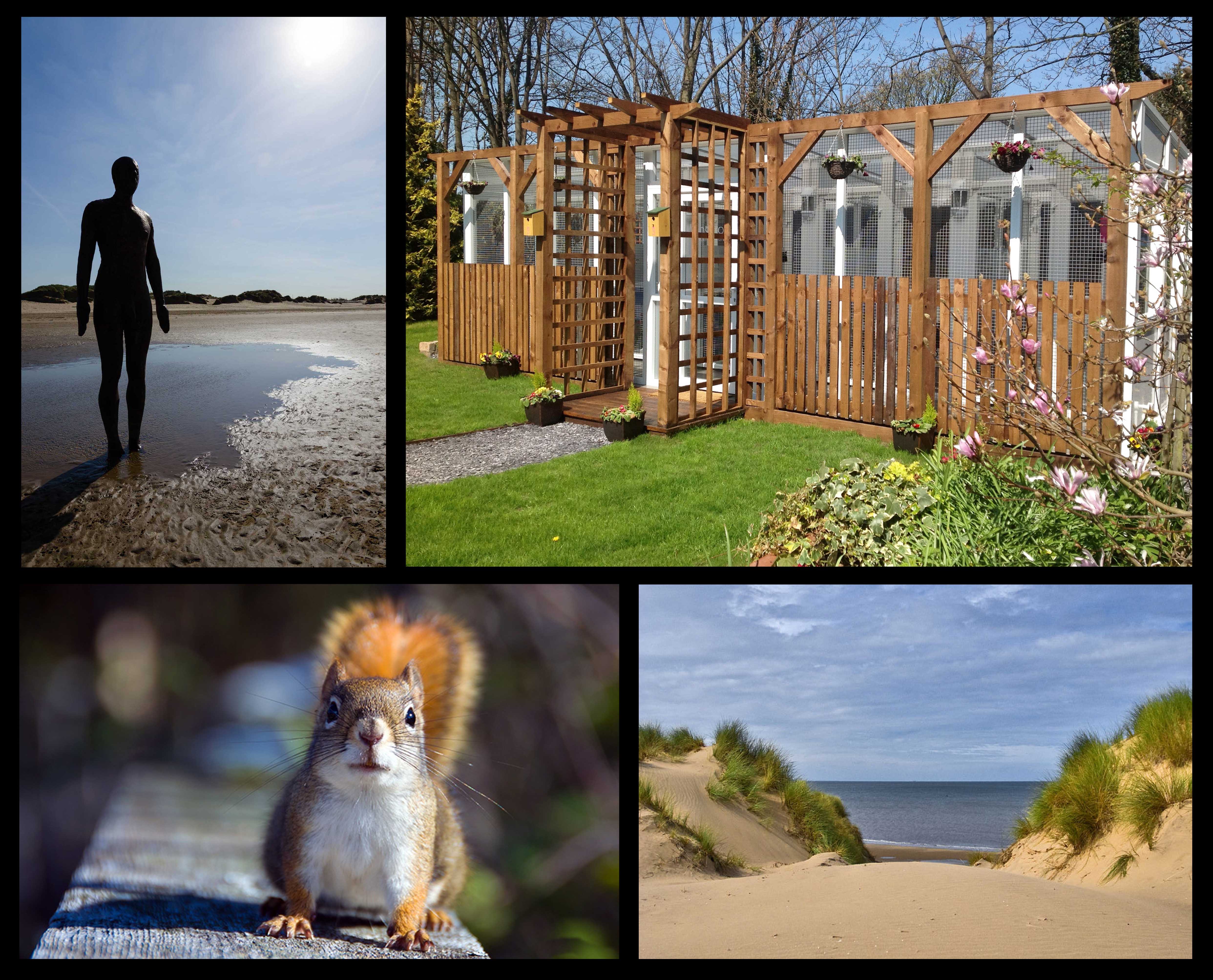 The Top 5 Reasons to Visit Formby - Longcroft Luxury Cat Hotel
