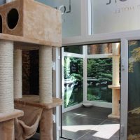 WELCOME TO KENT’S FIRST MULTI AWARD WINNING LUXURY CAT HOTEL ...