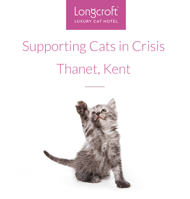 Supporting Cats In Crisis Thanet, Kent. - Longcroft Luxury Cat Hotel