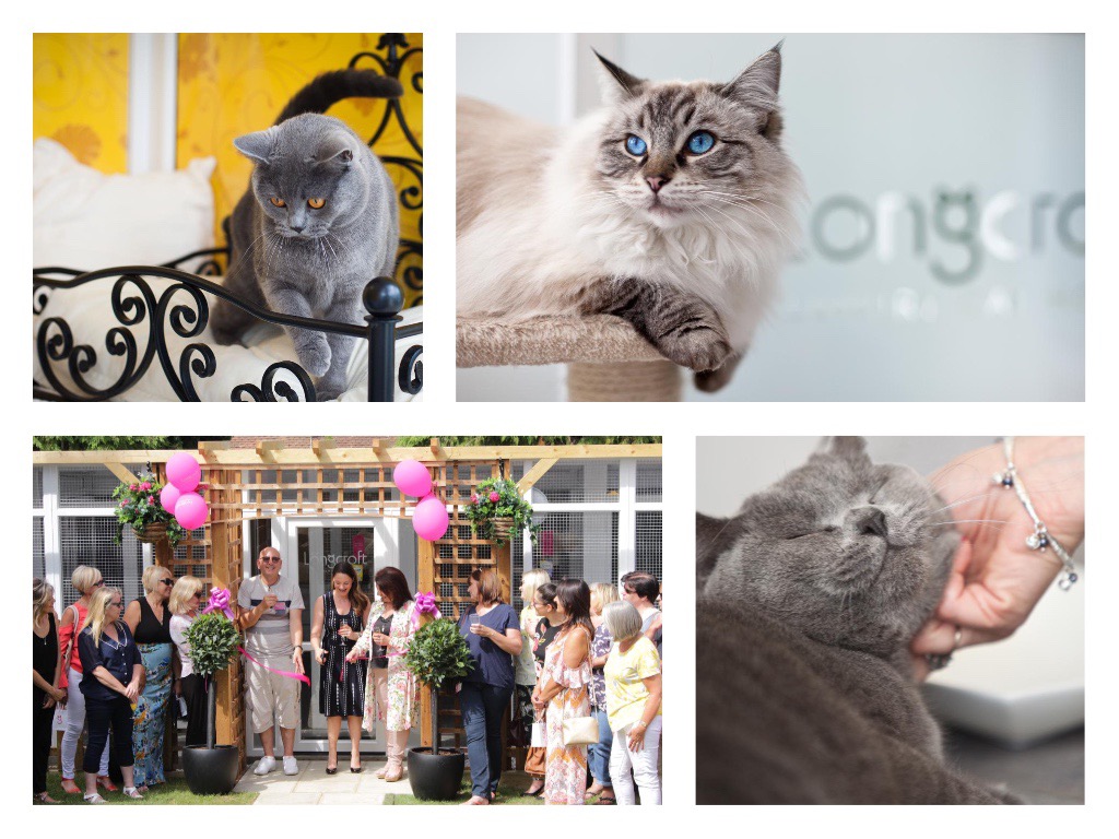 LLCH - Longcroft Luxury Cat Hotel