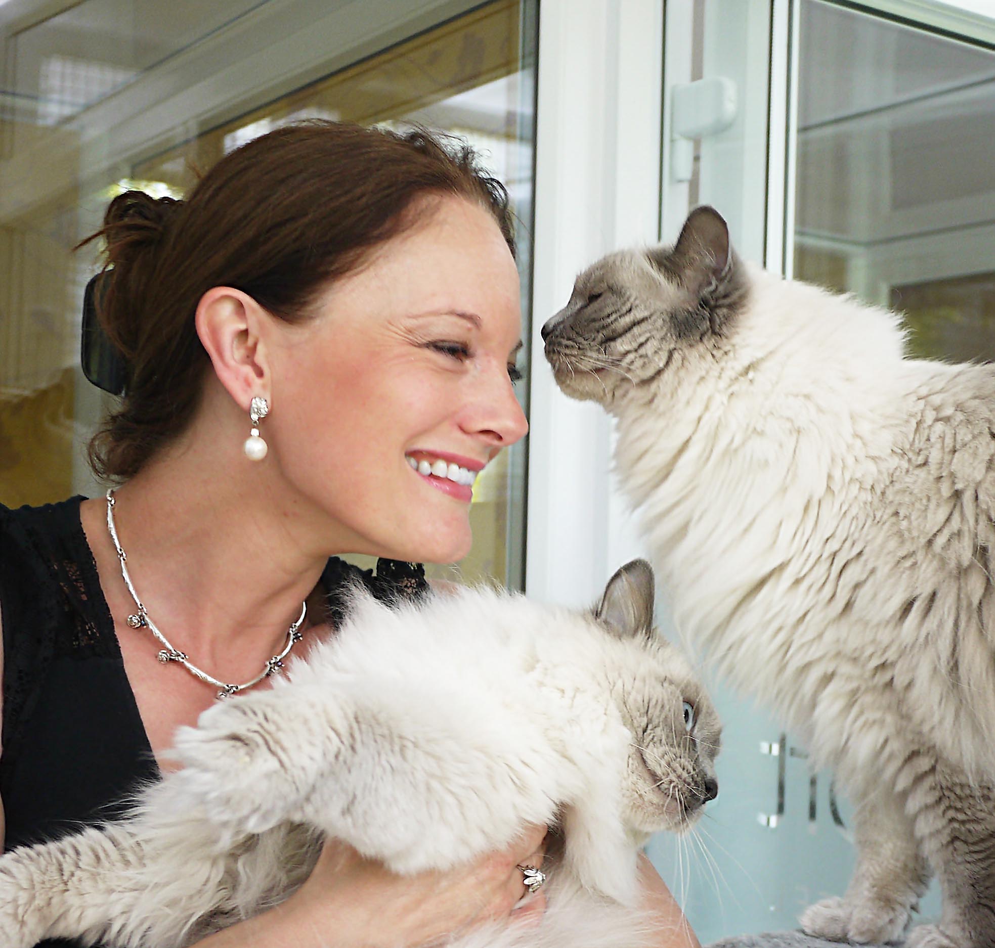 Longcroft Wins Best Luxury Cat Accommodation Award 2025 - Longcroft ...