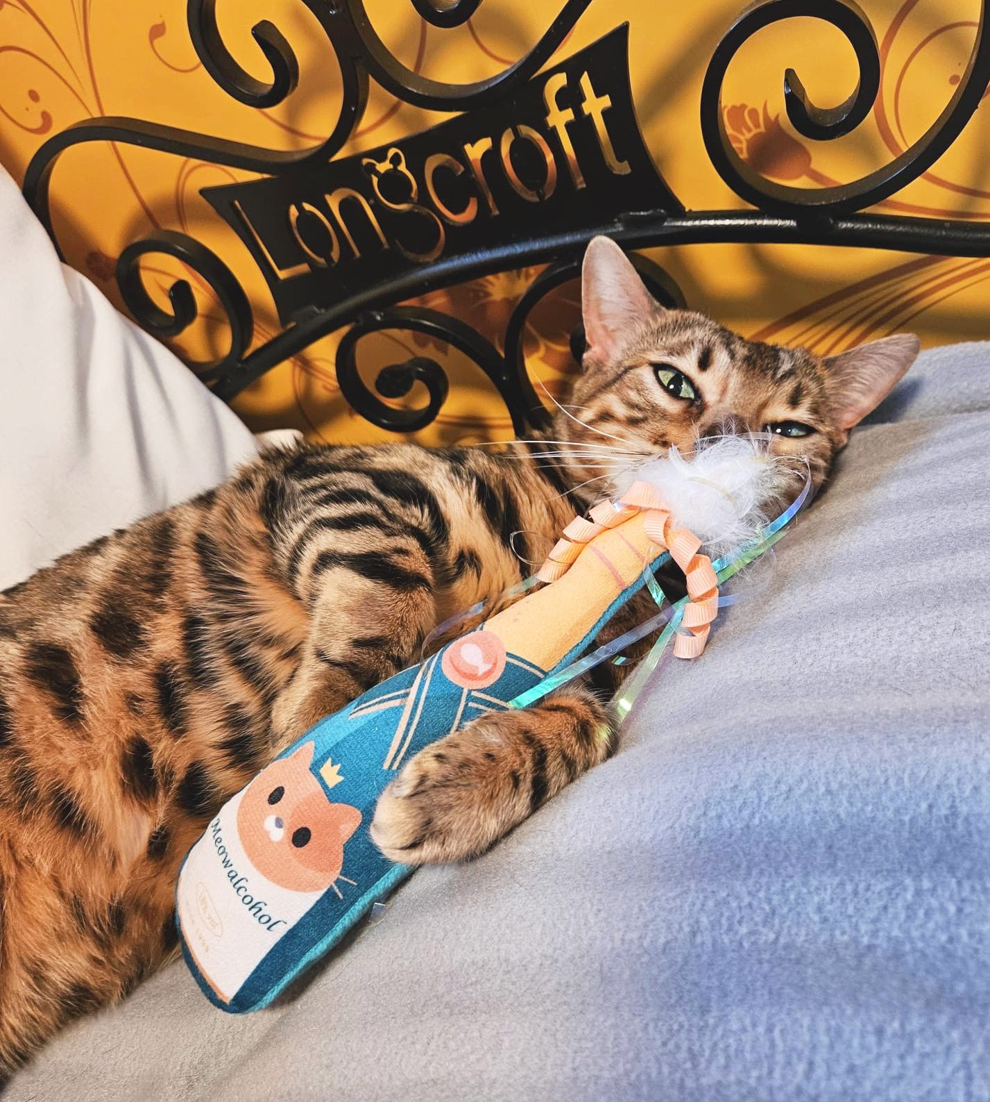 Happy Meow Year – and Thank You for Supporting Cats in Need ...